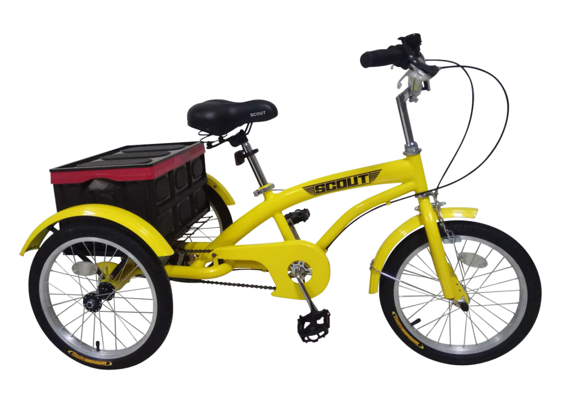 Scout 16" kids tricycle, single speed - BuyTricycle
